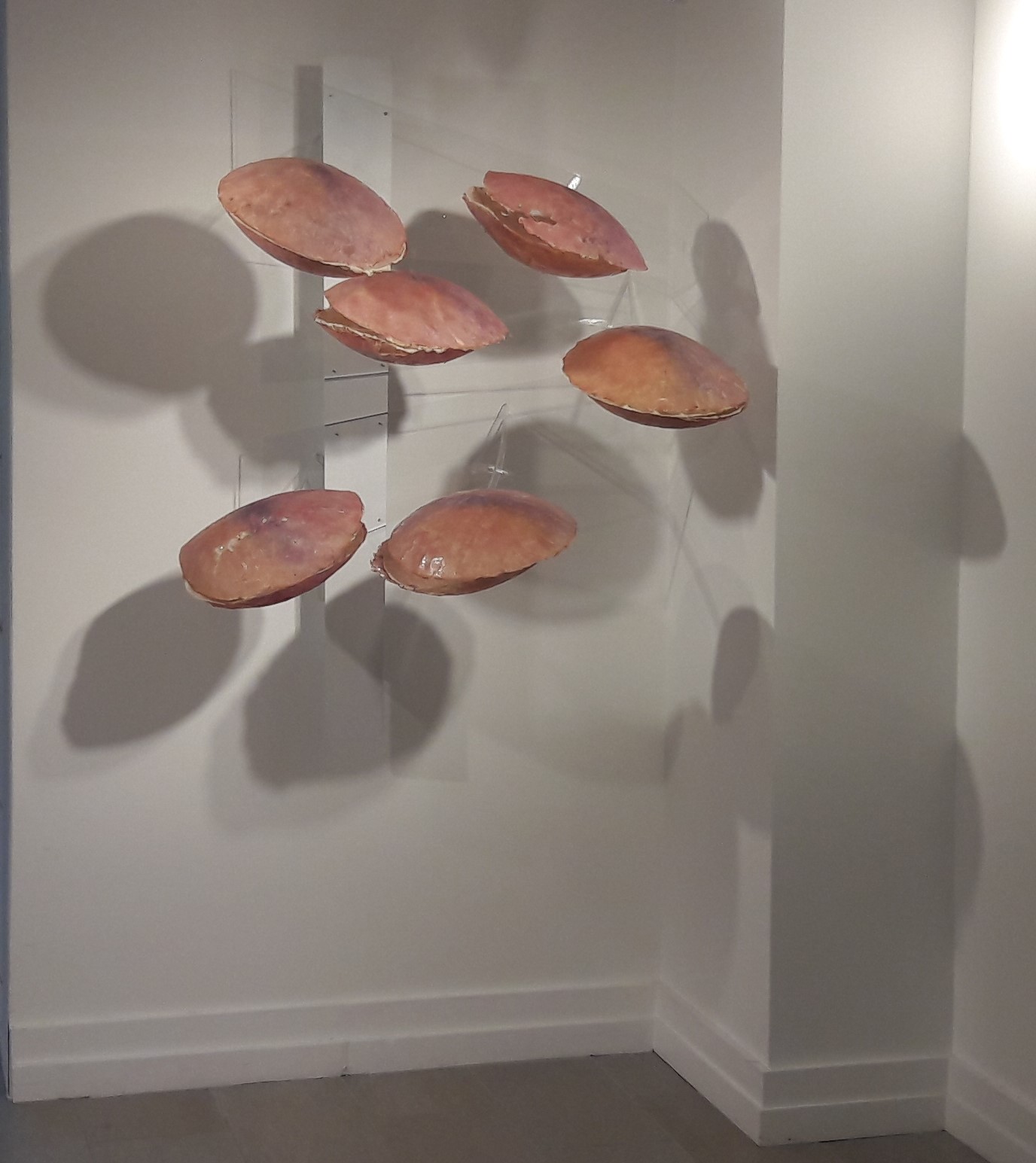 Artwork of Daniel Colvin | Cobenick Paper and Book Studios