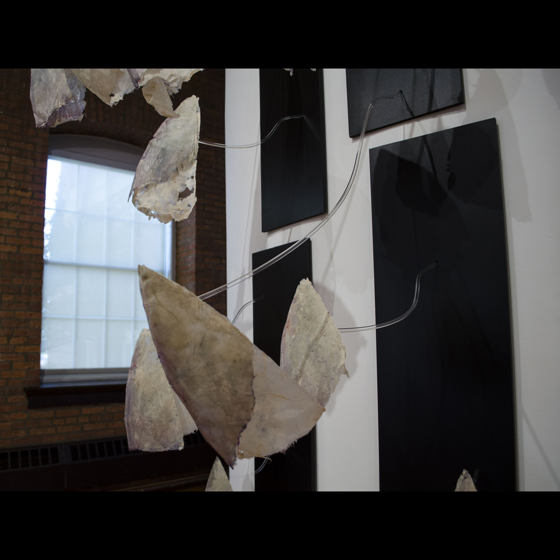 Artwork of Daniel Colvin | Cobenick Paper and Book Studios