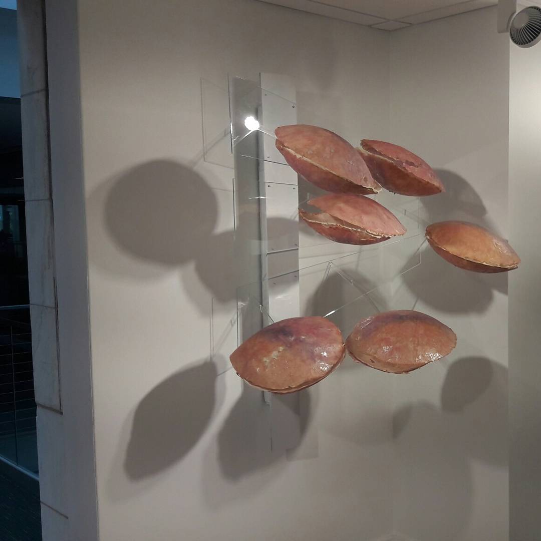 Artwork of Daniel Colvin | Cobenick Paper and Book Studios